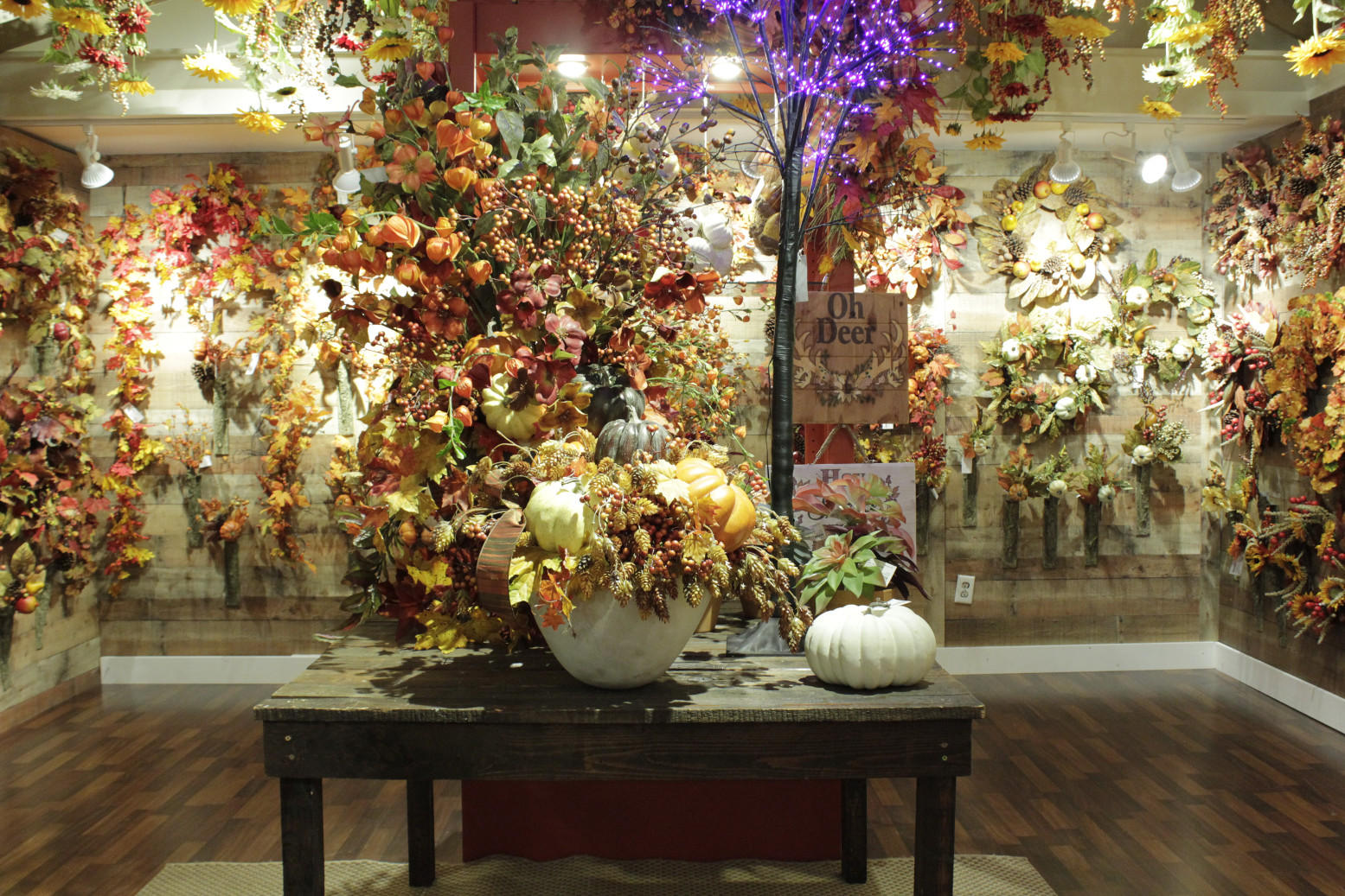 Gallery | Direct Export Company