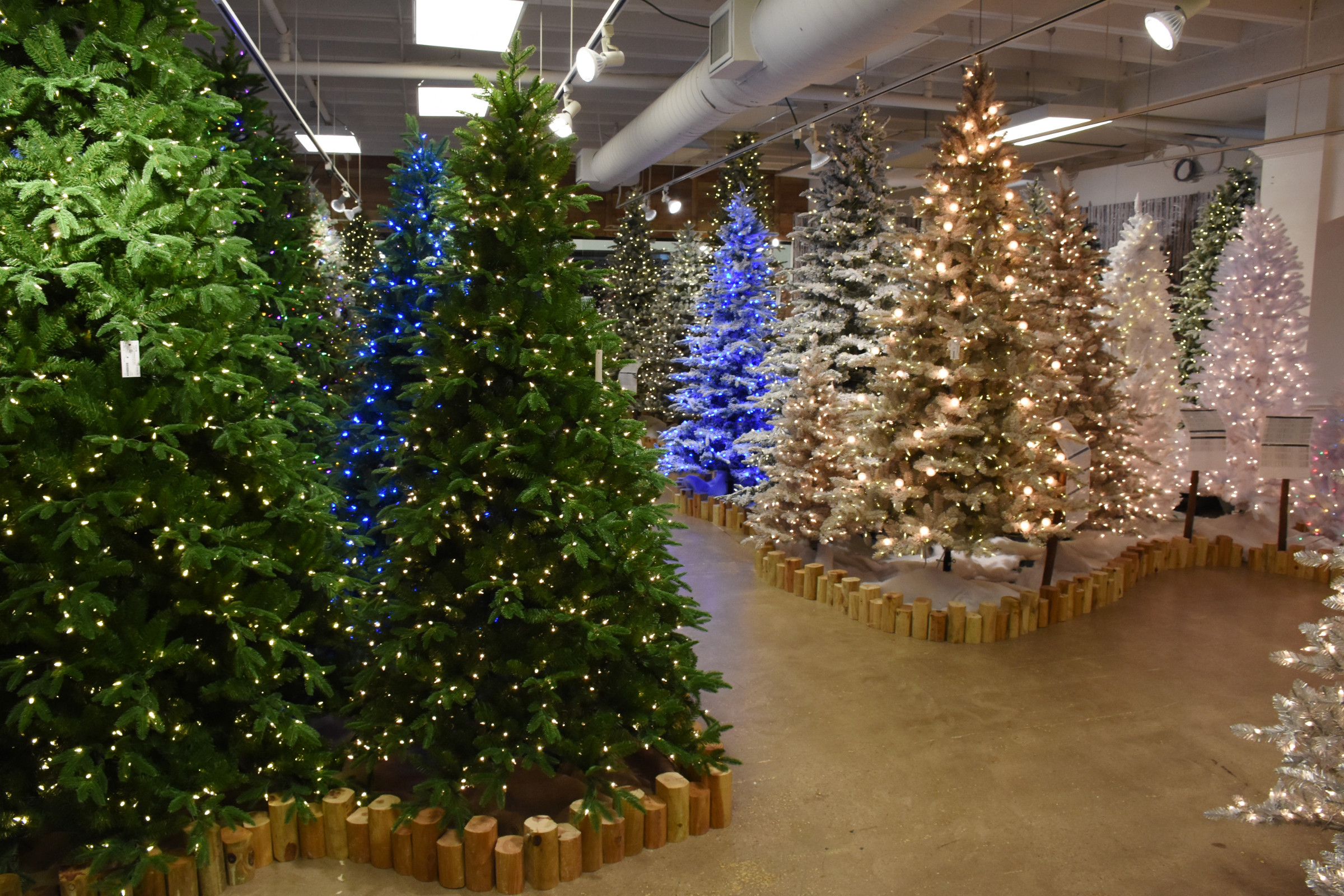 Gallery - Direct Export Company