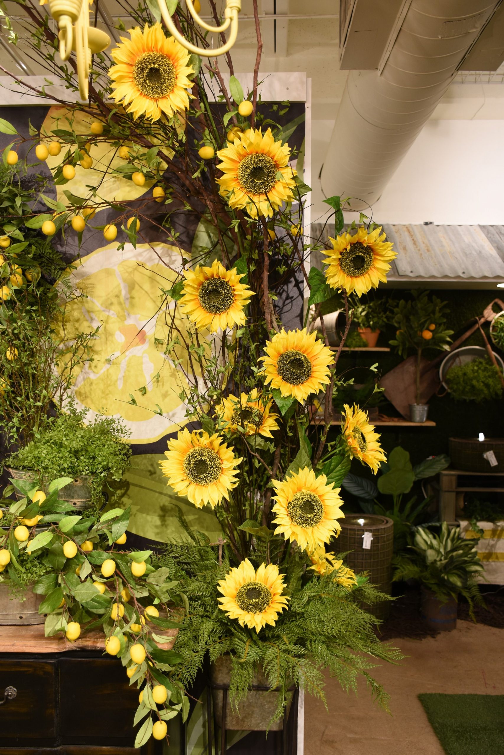Gallery - Direct Export Company
