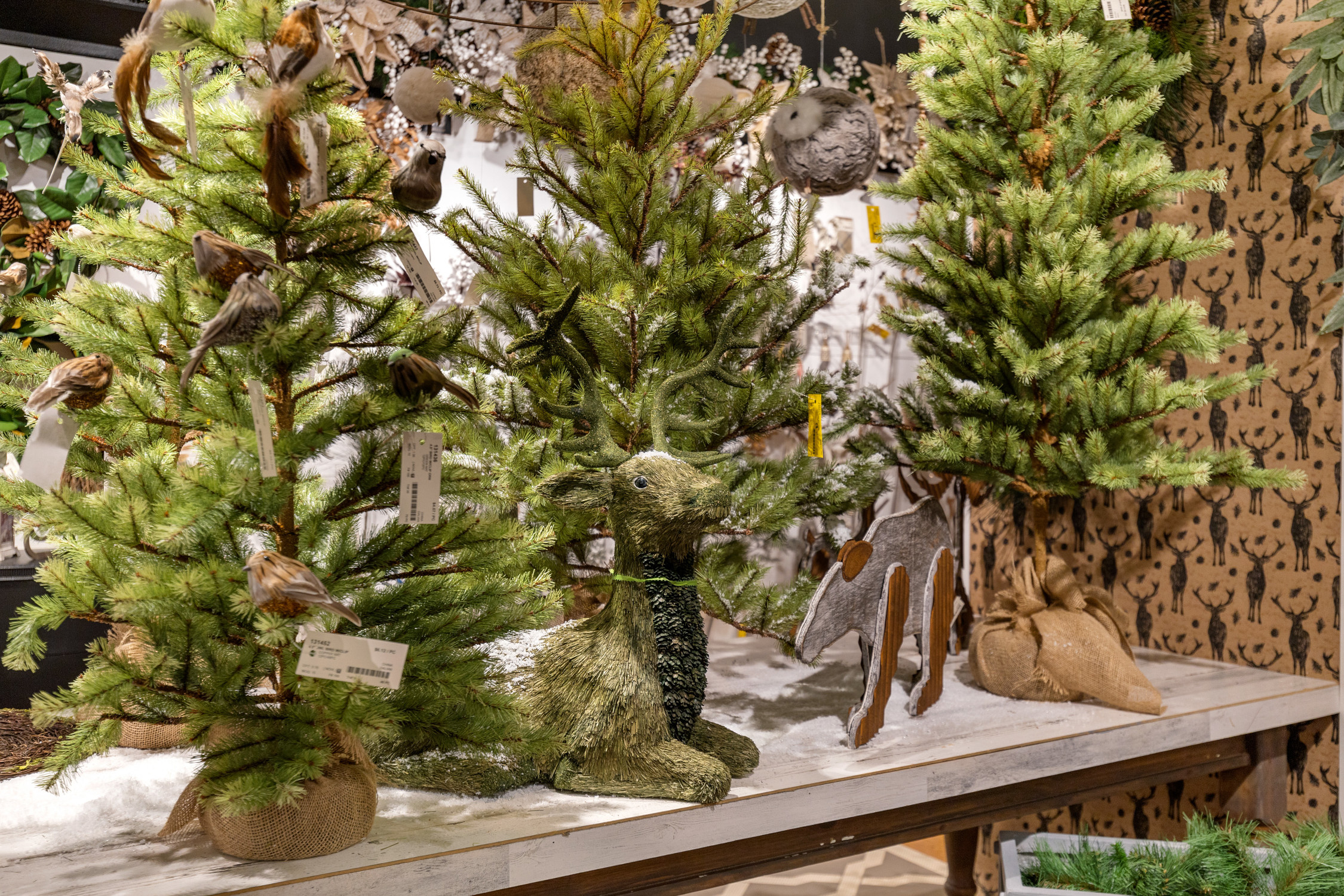 Gallery - Direct Export Company
