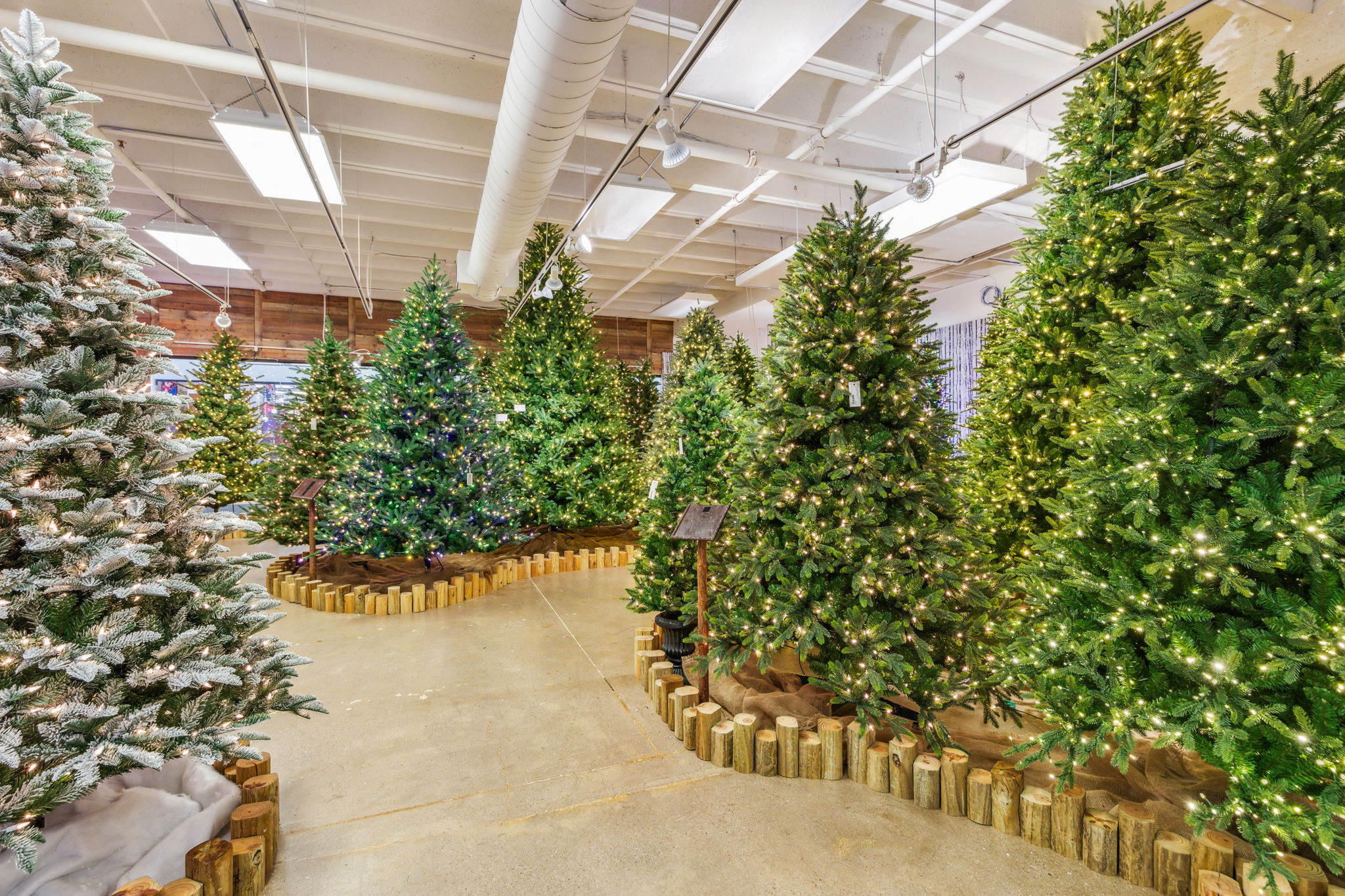 Gallery - Direct Export Company