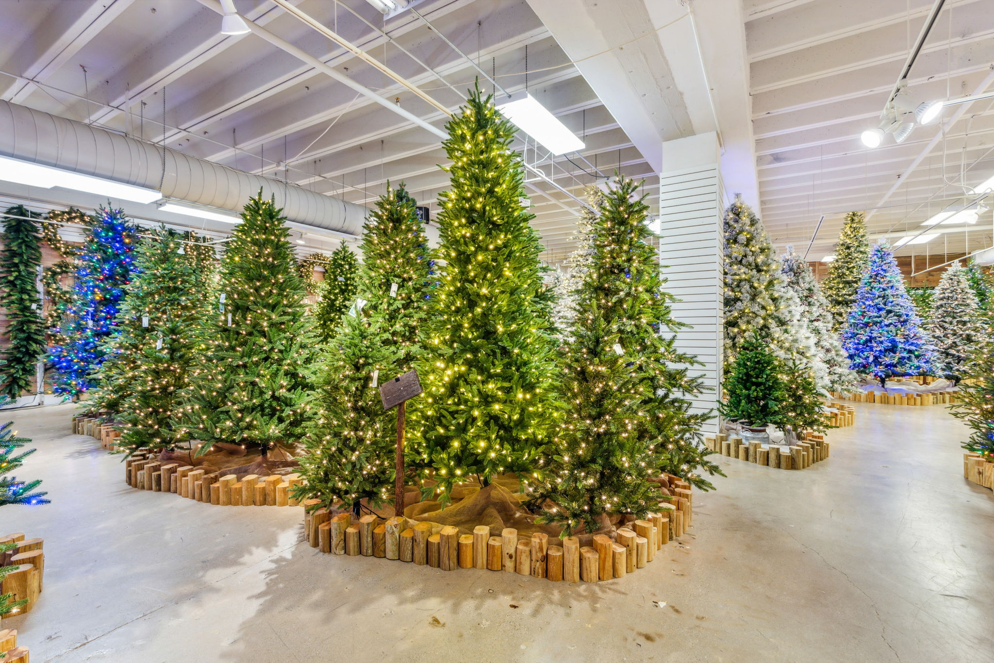 Gallery - Direct Export Company