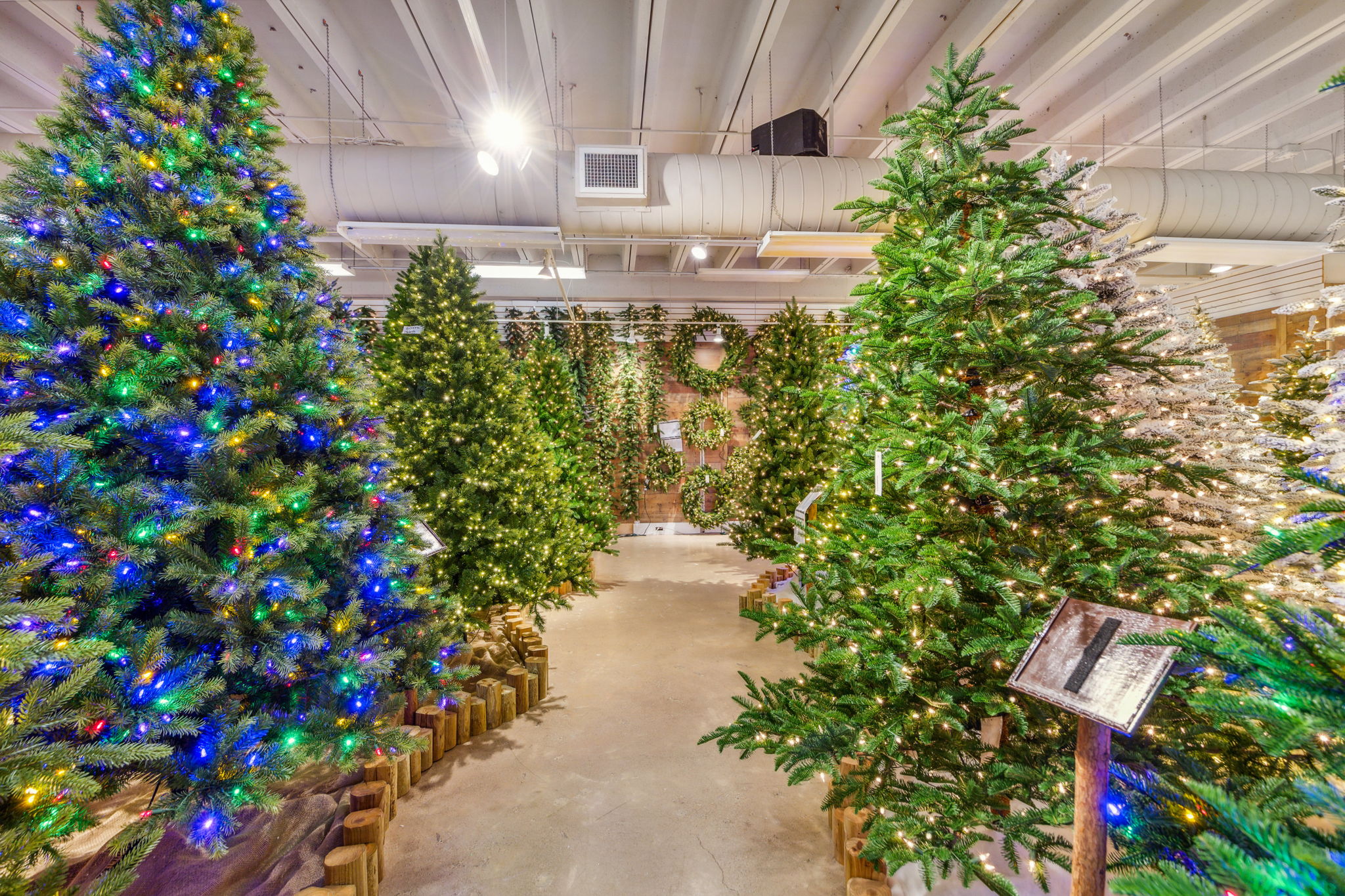 Gallery - Direct Export Company