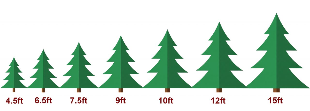 Christmas Trees - Direct Export Company